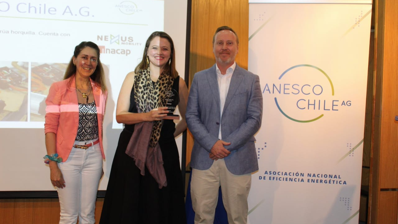 Anesco Chile cierra 2022, proyecta sus próximos pasos y distingue a 9 ...